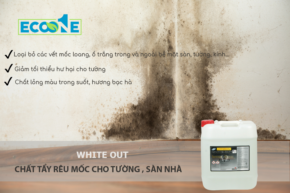 Hướng dẫn sử dụng sản phẩm tẩy rêu mốc trên tường hiệu quả