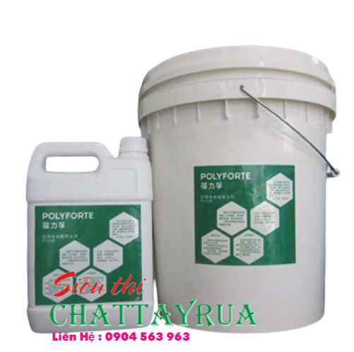 BỘ SẢN PHẨM HOÀN THIỆN, CHỐNG TĨNH ĐIỆN SÀN ECO POLYFORTE