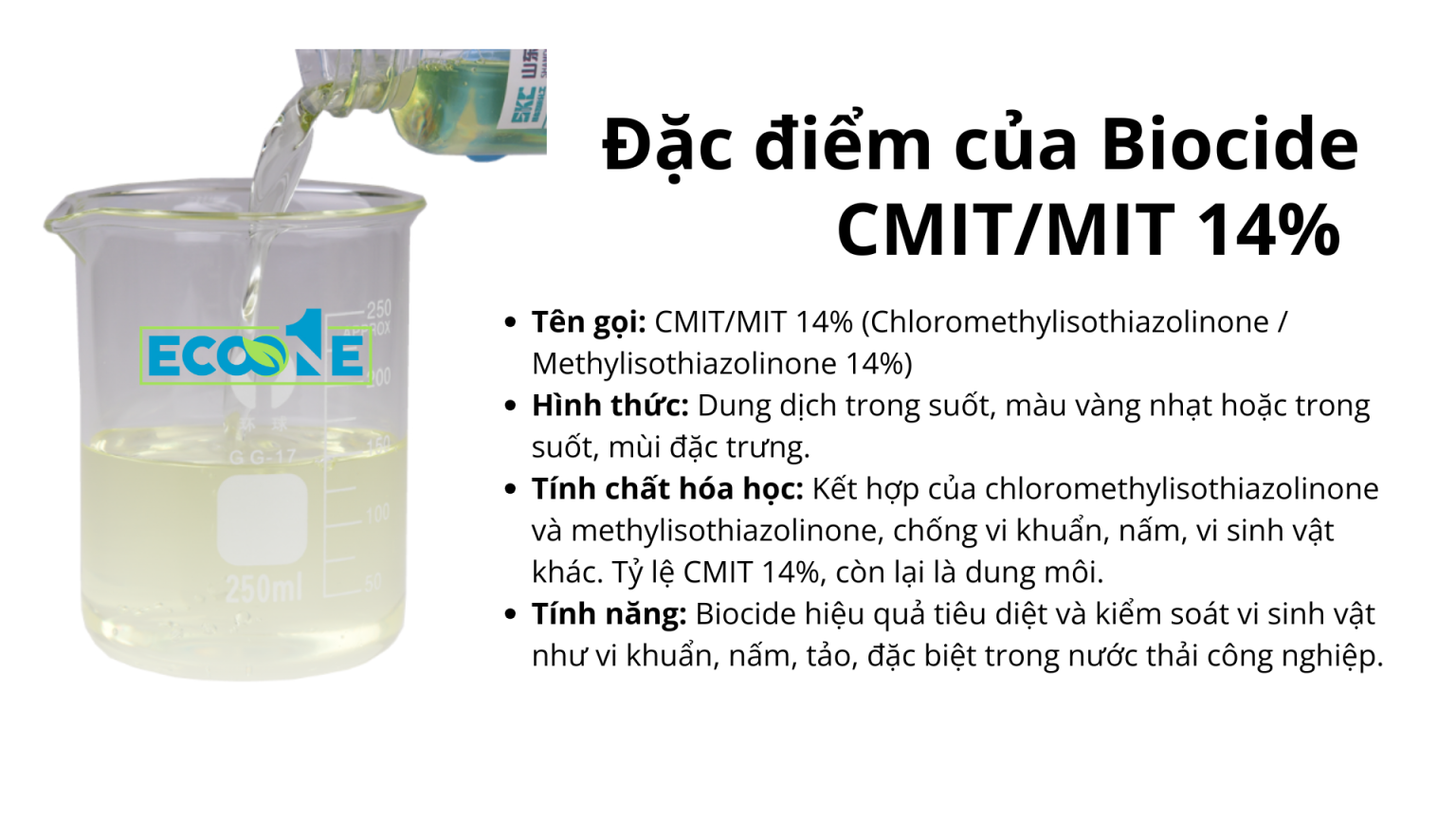 Hóa chất thuốc diệt nấm trong xử lý nước